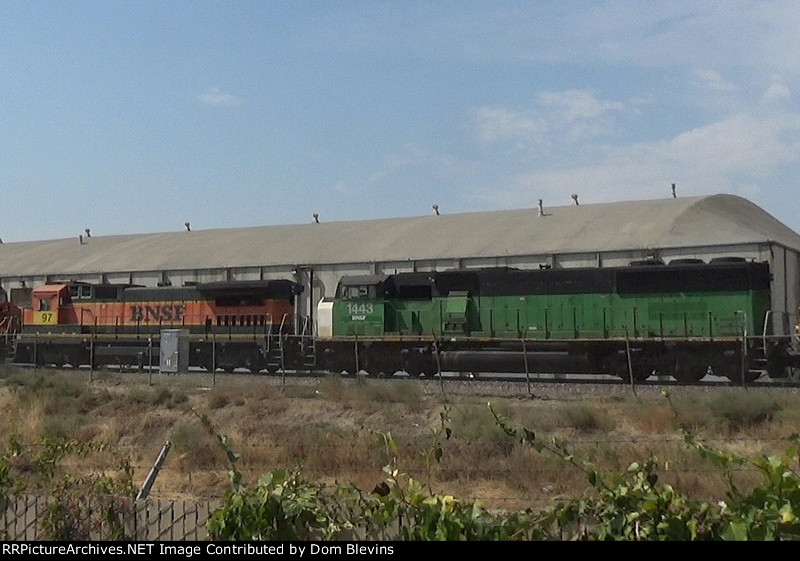 BNSF 1443